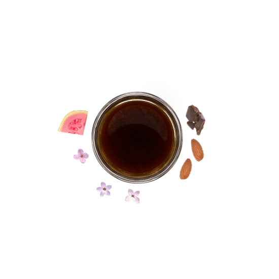 Twisted V.9 - JBC Coffee Roasters